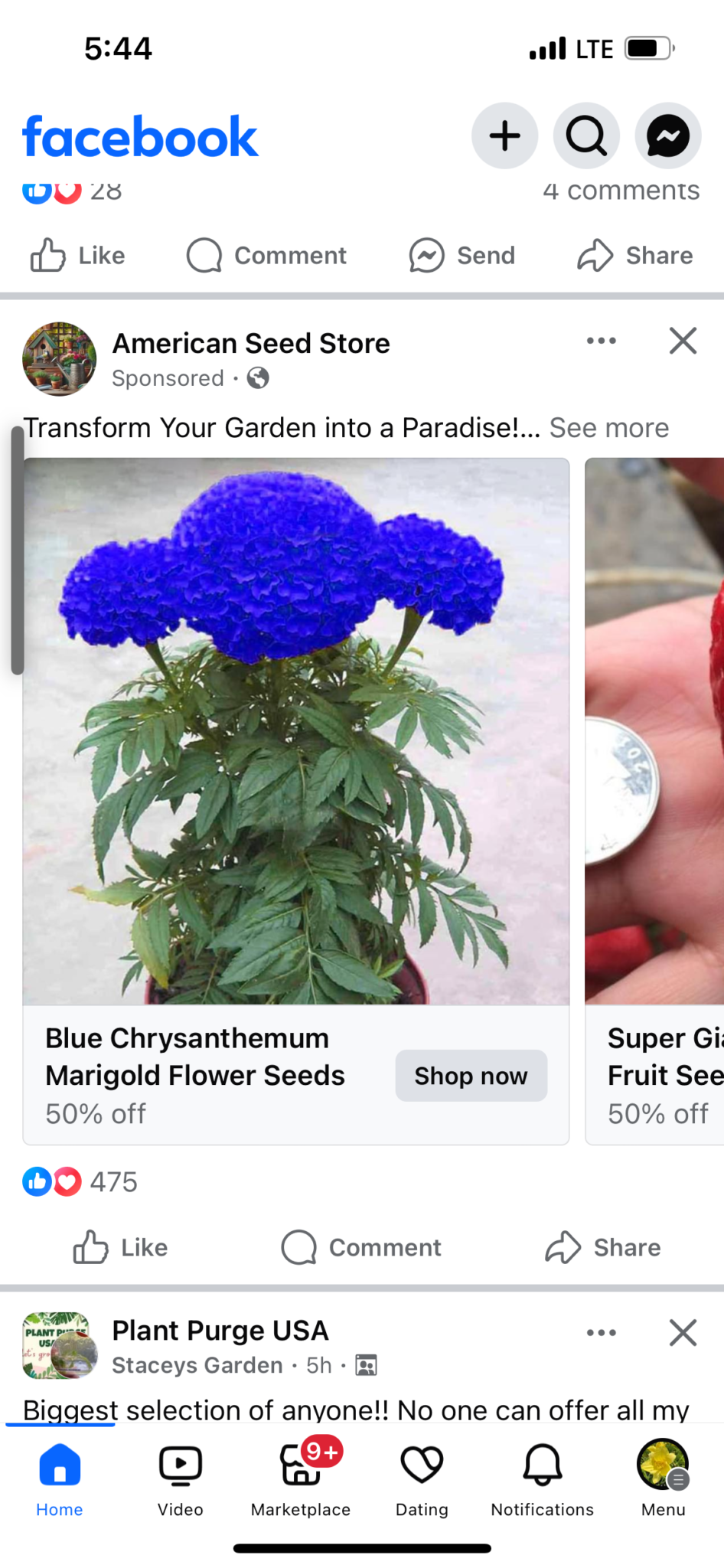 Beware the Bloom: How Fake Plant Scams Are Sprouting on Facebook | Tuars